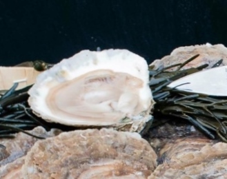 Acheter Grosse huître Plate Cancale